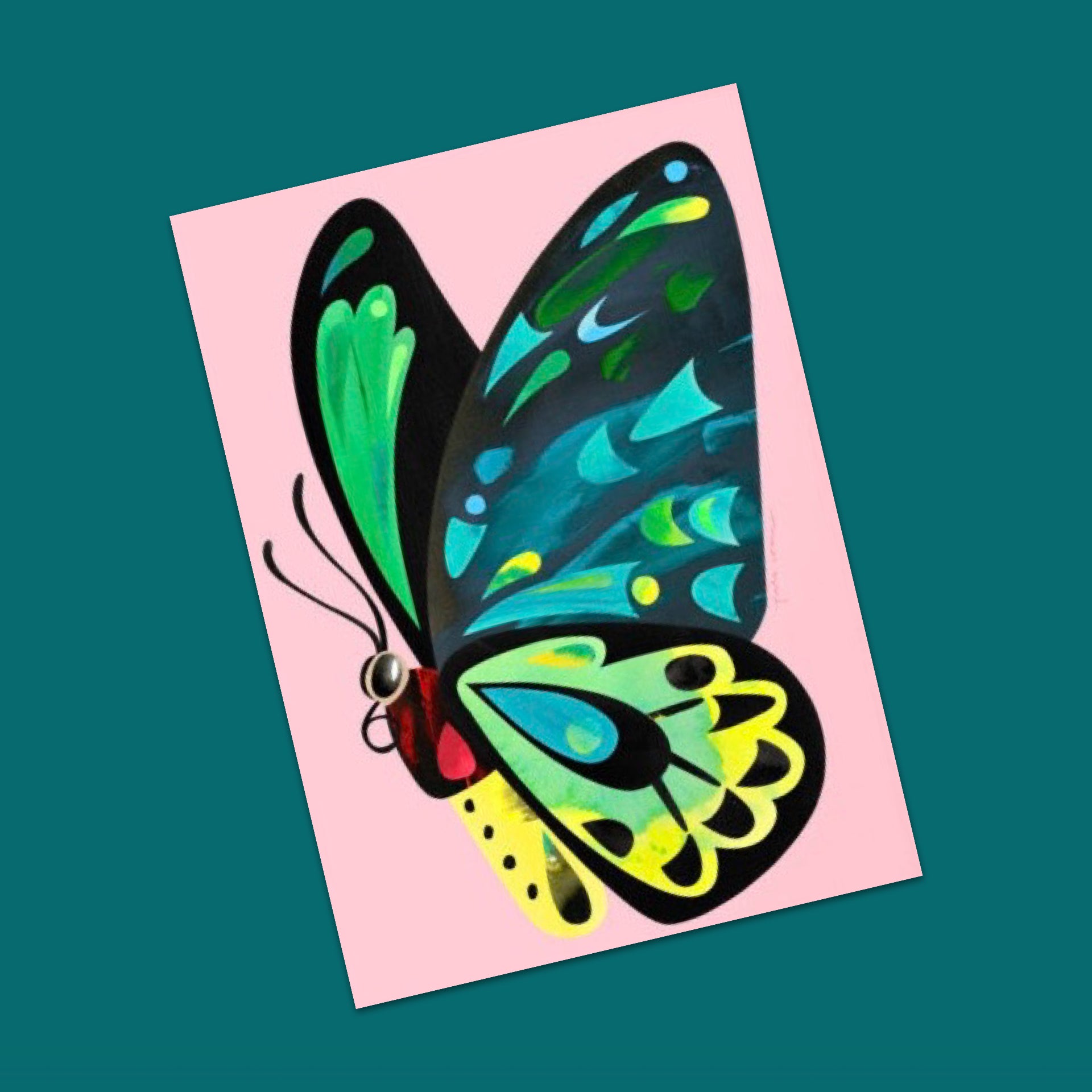 PETE CROMER - CAIRNS BIRDWING BUTTERFLY A4 FINE ART PRINT – Makin' Whoopee Gift Shop